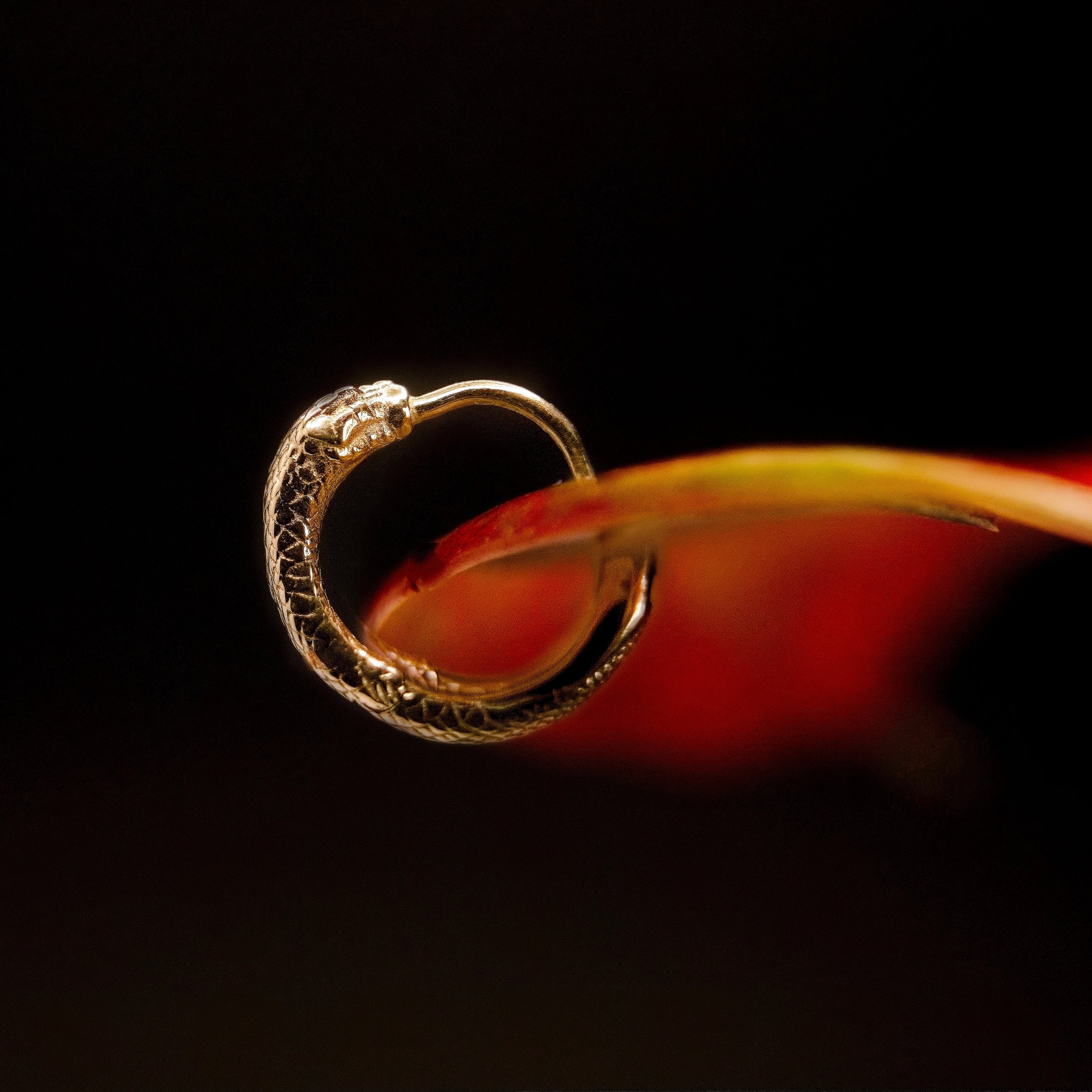 Rachel Entwistle | Award-Winning Jewellery Store in East London